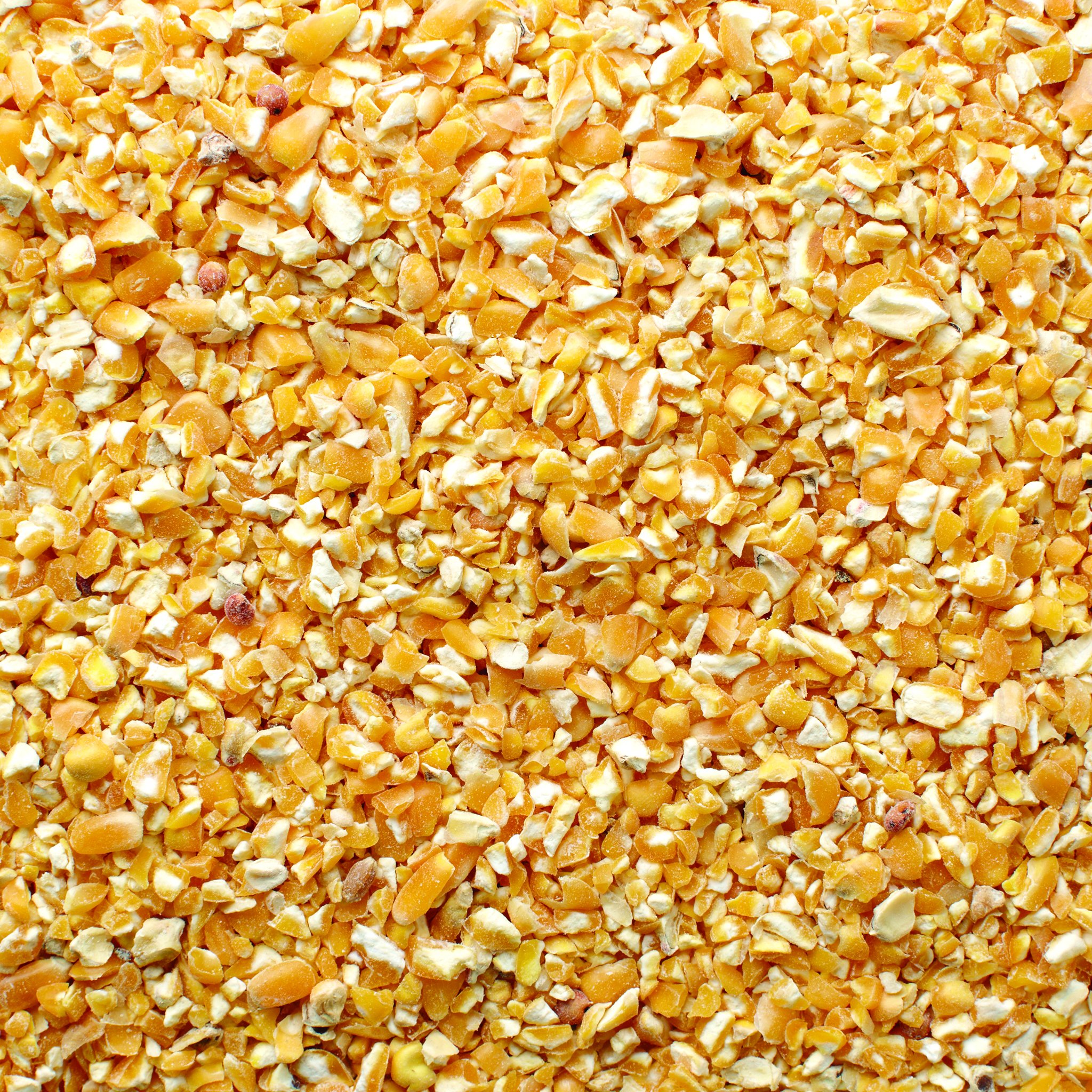 Blue Seal Cracked Corn Pet Central Blue Seal Cracked Corn Pet Central